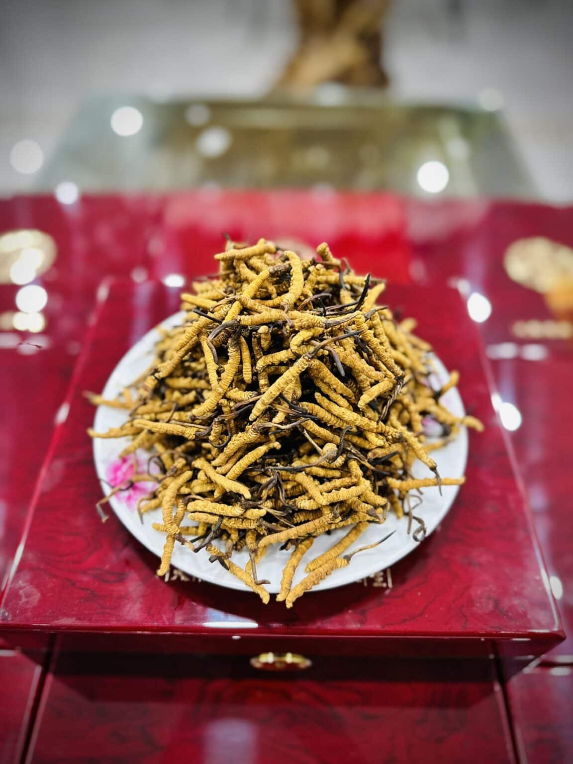 Đông Trùng Hạ Thảo Tây Tạng 30 Con Hộp 10g - Hàng PREMIUM